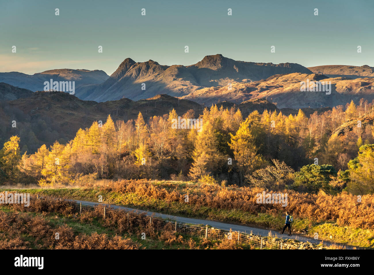Tarn Hows in the Lake District Cumbria. North West England. Autumn ...