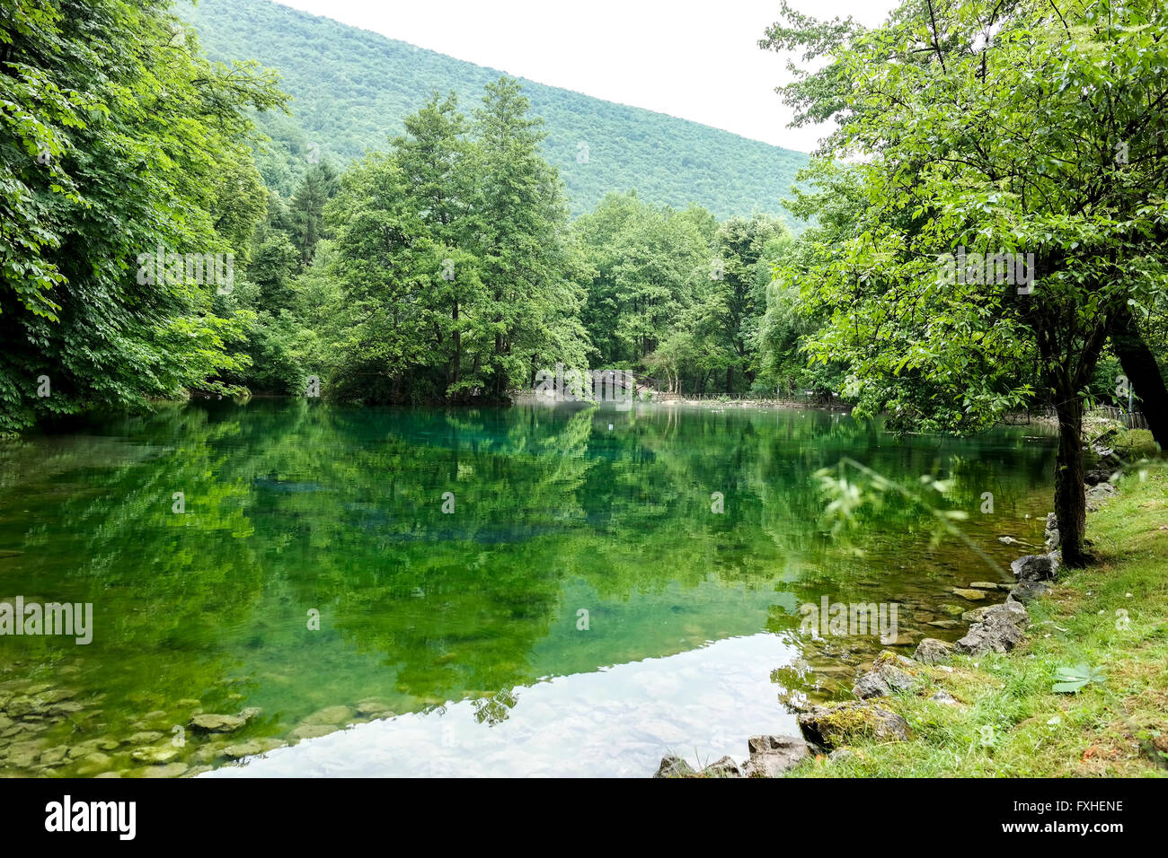 Spring of river Bosna in Ilidža below Mt. Igman Stock Photo - Alamy