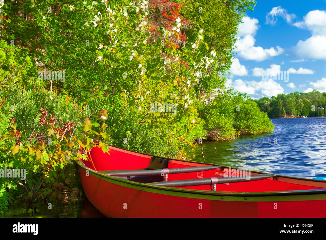 Canoe nature water hi-res stock photography and images - Alamy