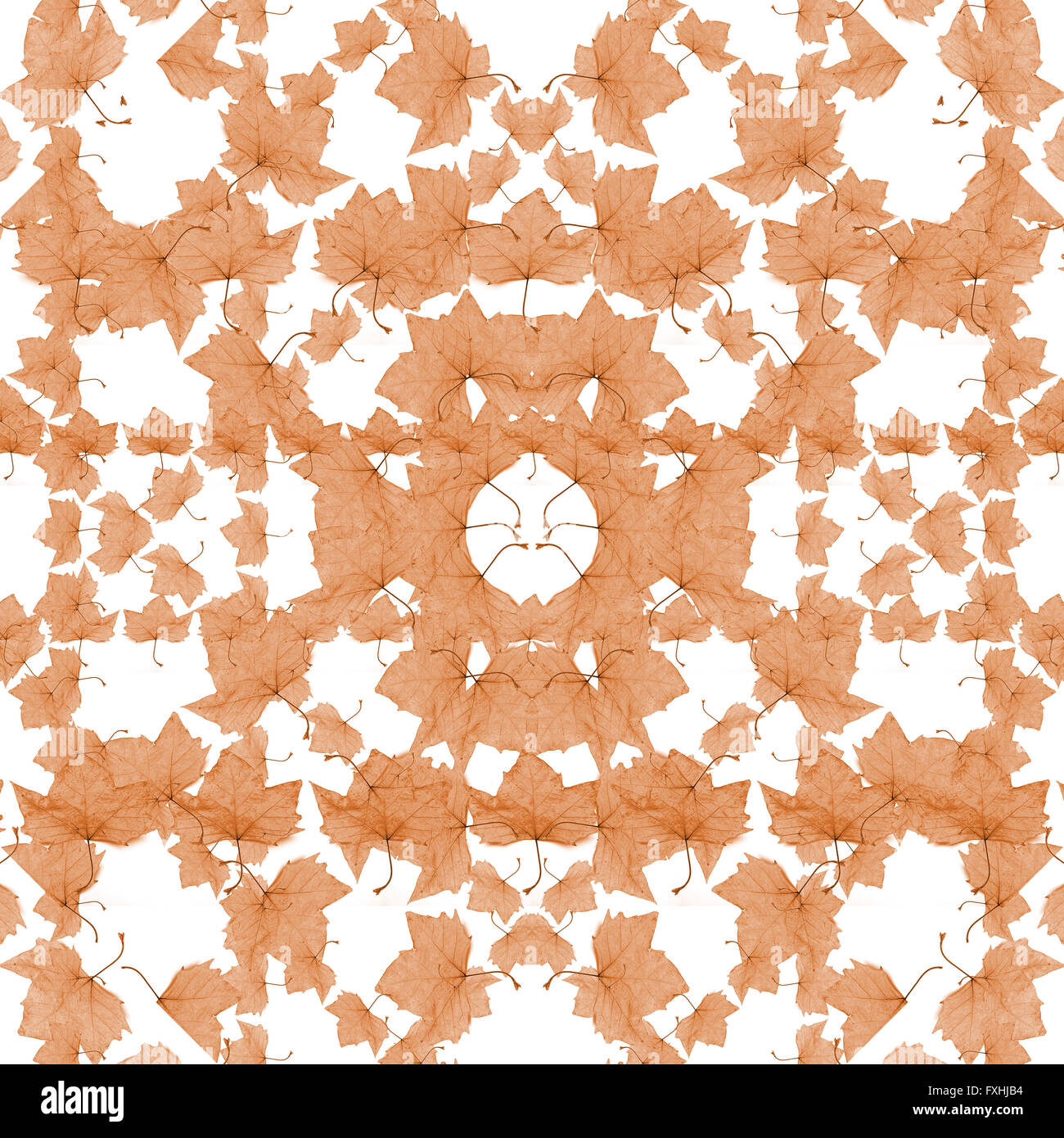 Digital collage and photo manipulation technique floral collage ...