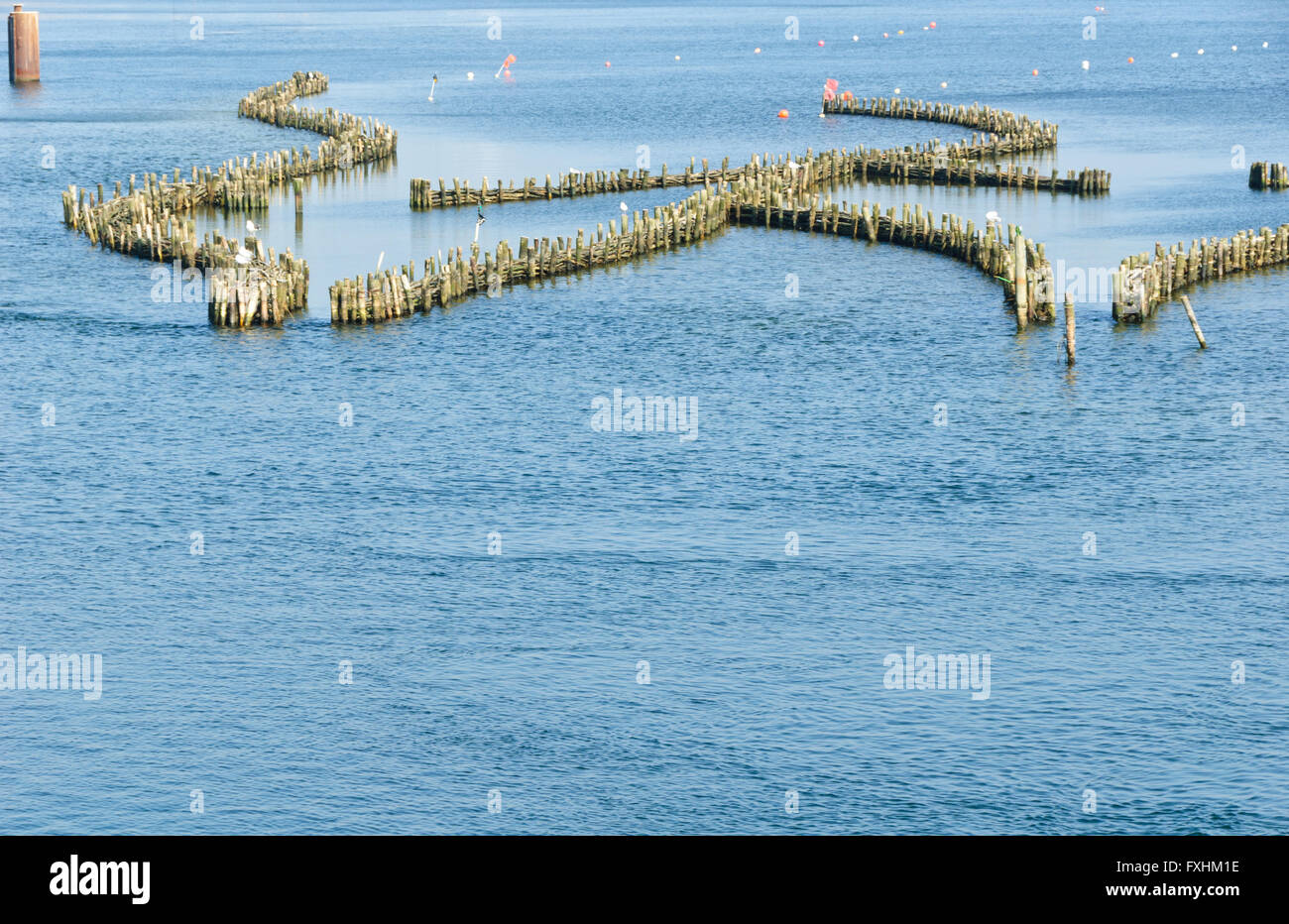 Historical herring weir in the Schlei at Kappeln Stock Photo - Alamy Historical herring weir in the Schlei at Kappeln Stock Photo - Alamy