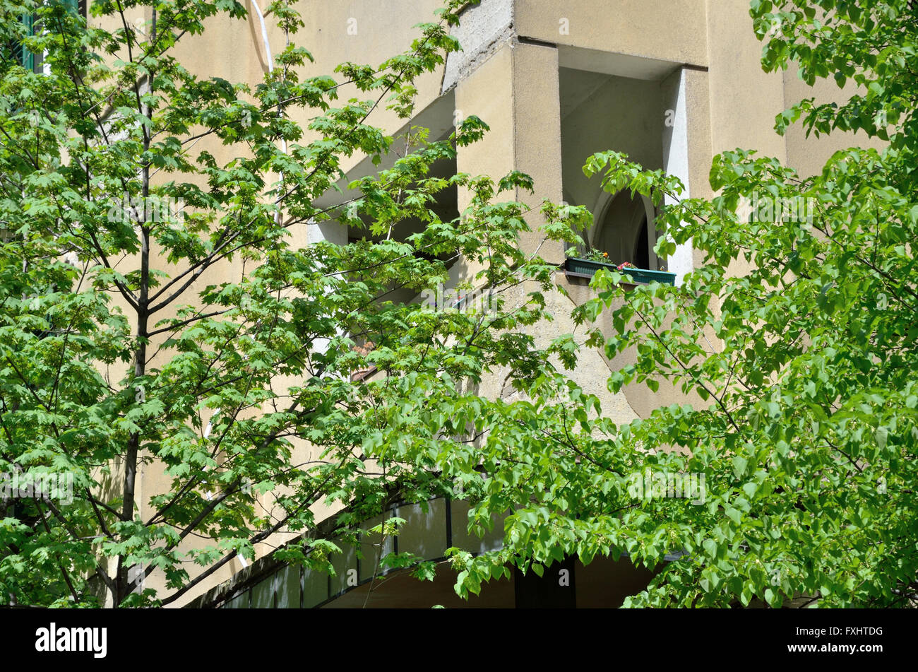 Balcony surrounded with trees in shadows of tree tops Stock Photo - Alamy