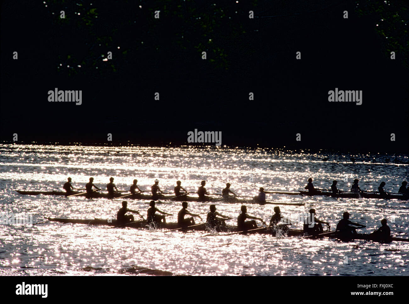 Scullers rowing in the Head of the Schuylkill Regatta; Schuykill River ...