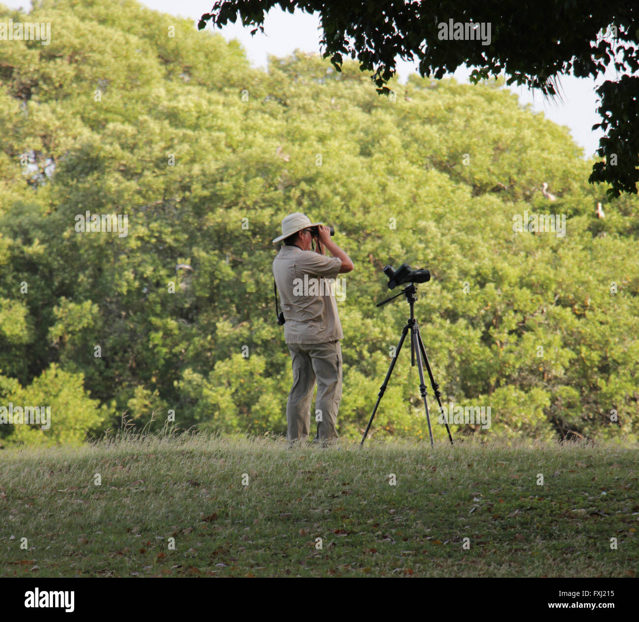Man taking a picture Stock Photo - Alamy