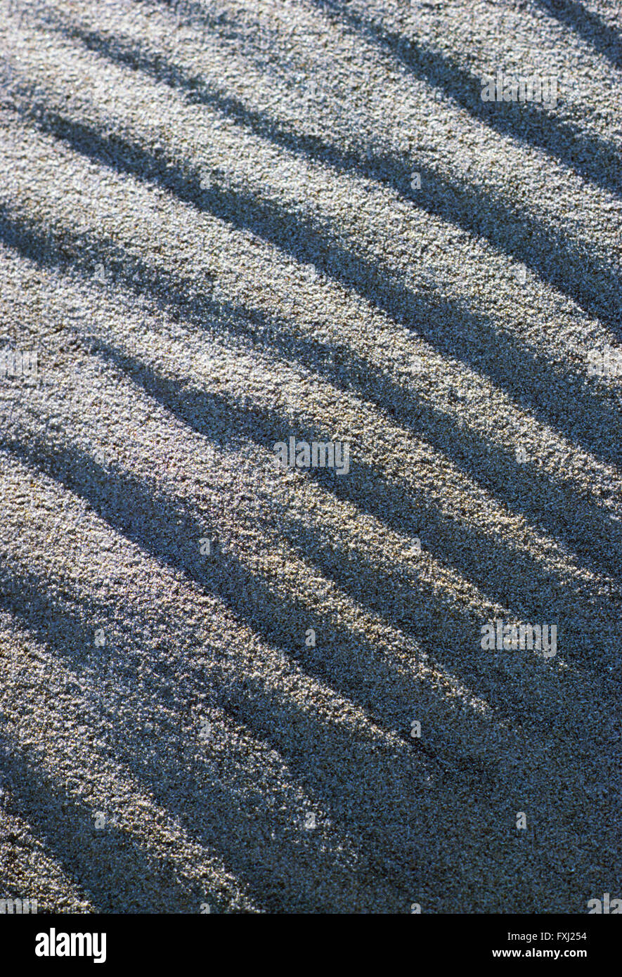 Grain Of Sand Up Close High Resolution Stock Photography and Images - Alamy
