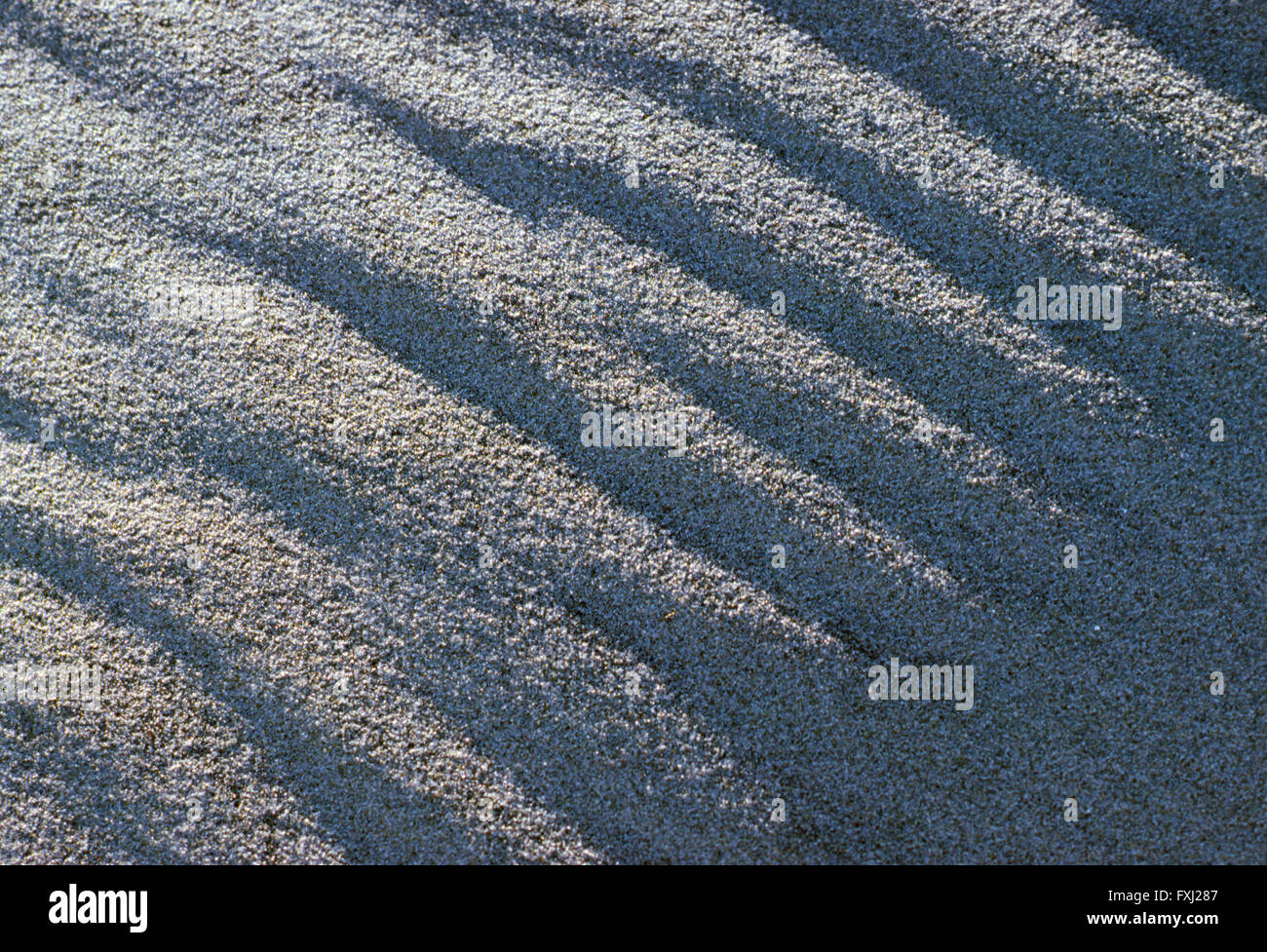 Detailed close-up of sunlit patterns in beach sand Stock Photo - Alamy