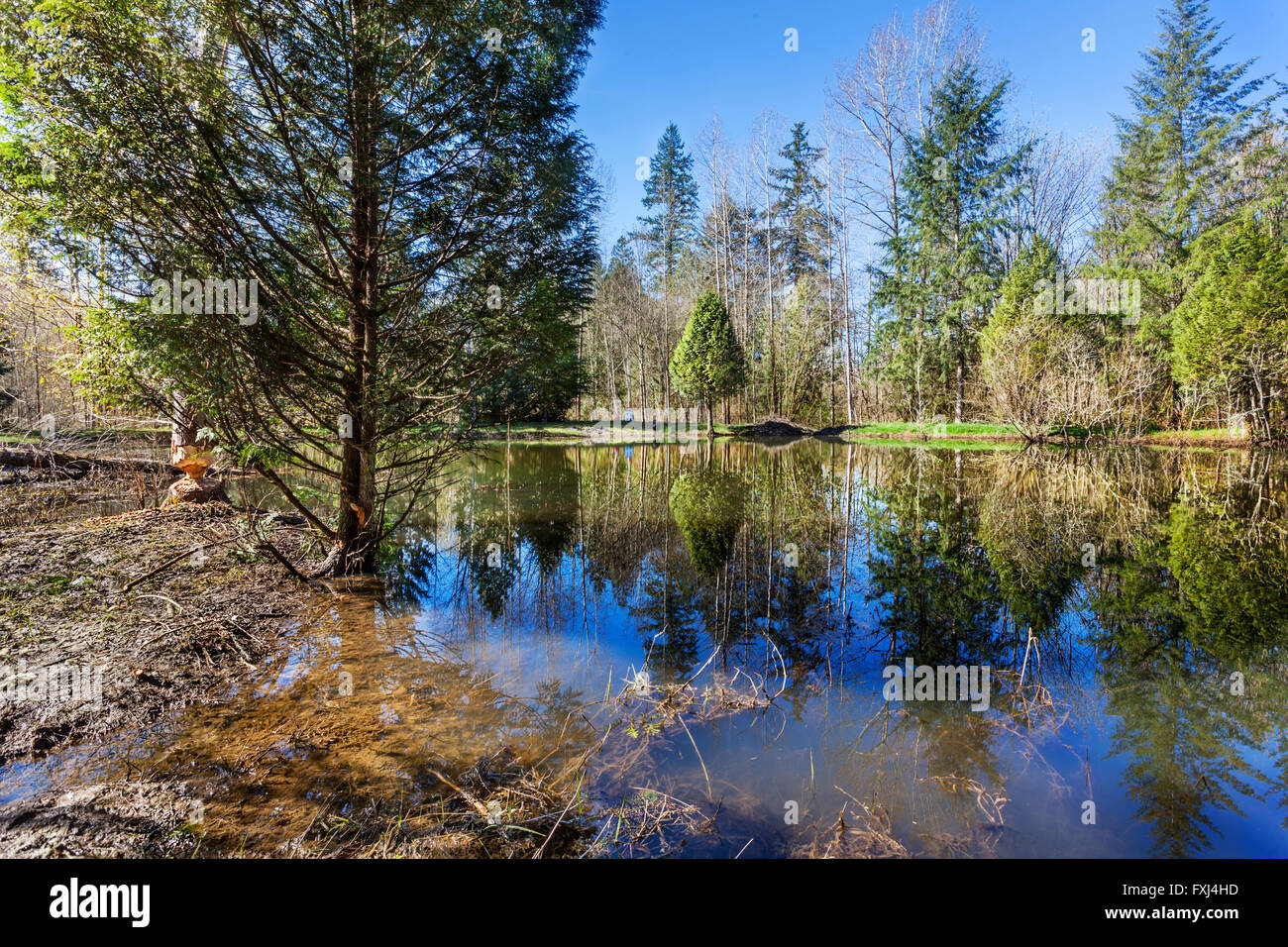 Stormwater Retention Pond High Resolution Stock Photography and Images ...