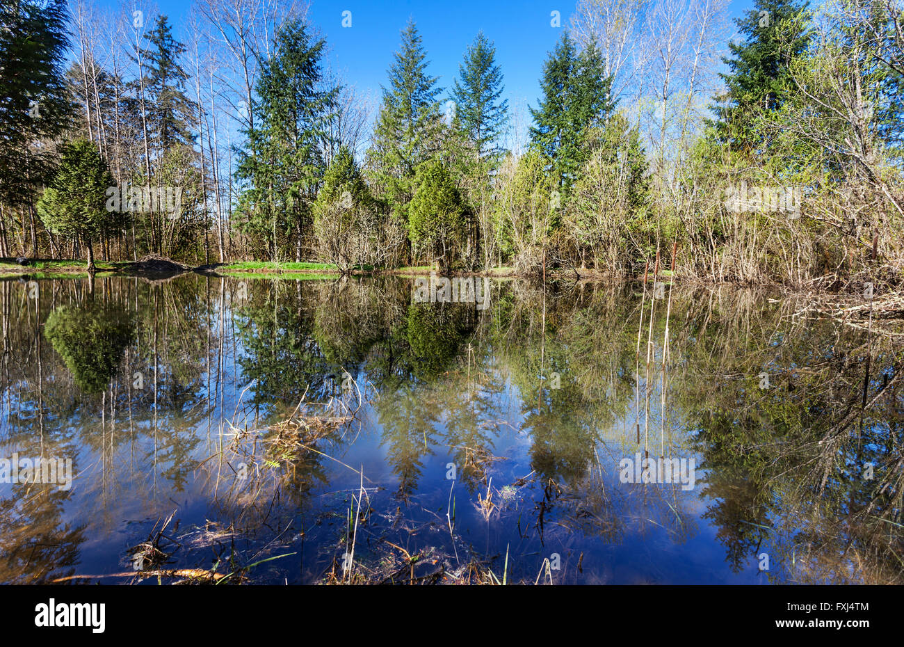 Stormwater Retention Pond High Resolution Stock Photography and Images ...