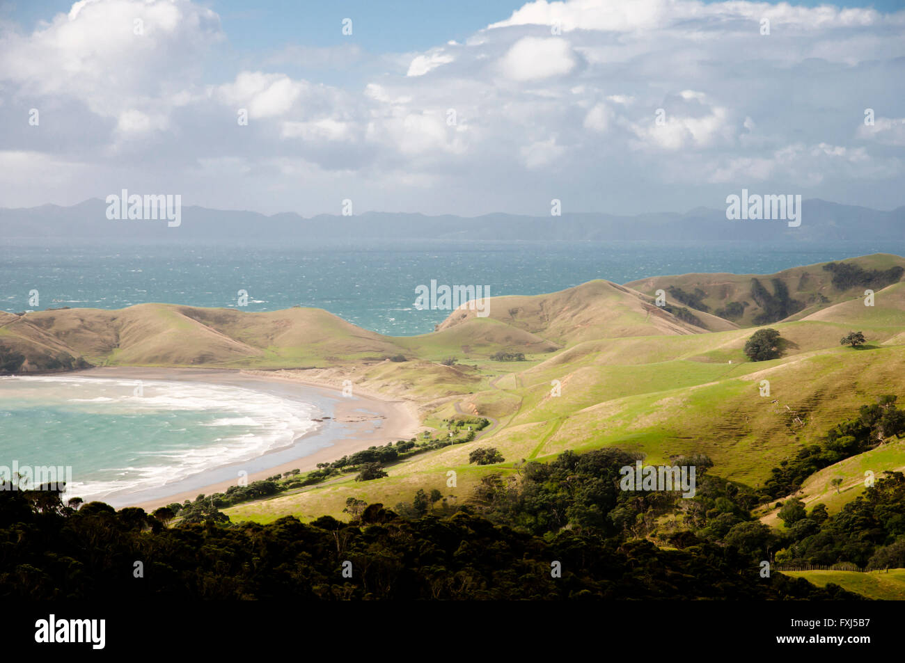 Coromandel Peninsula - New Zealand Stock Photo - Alamy