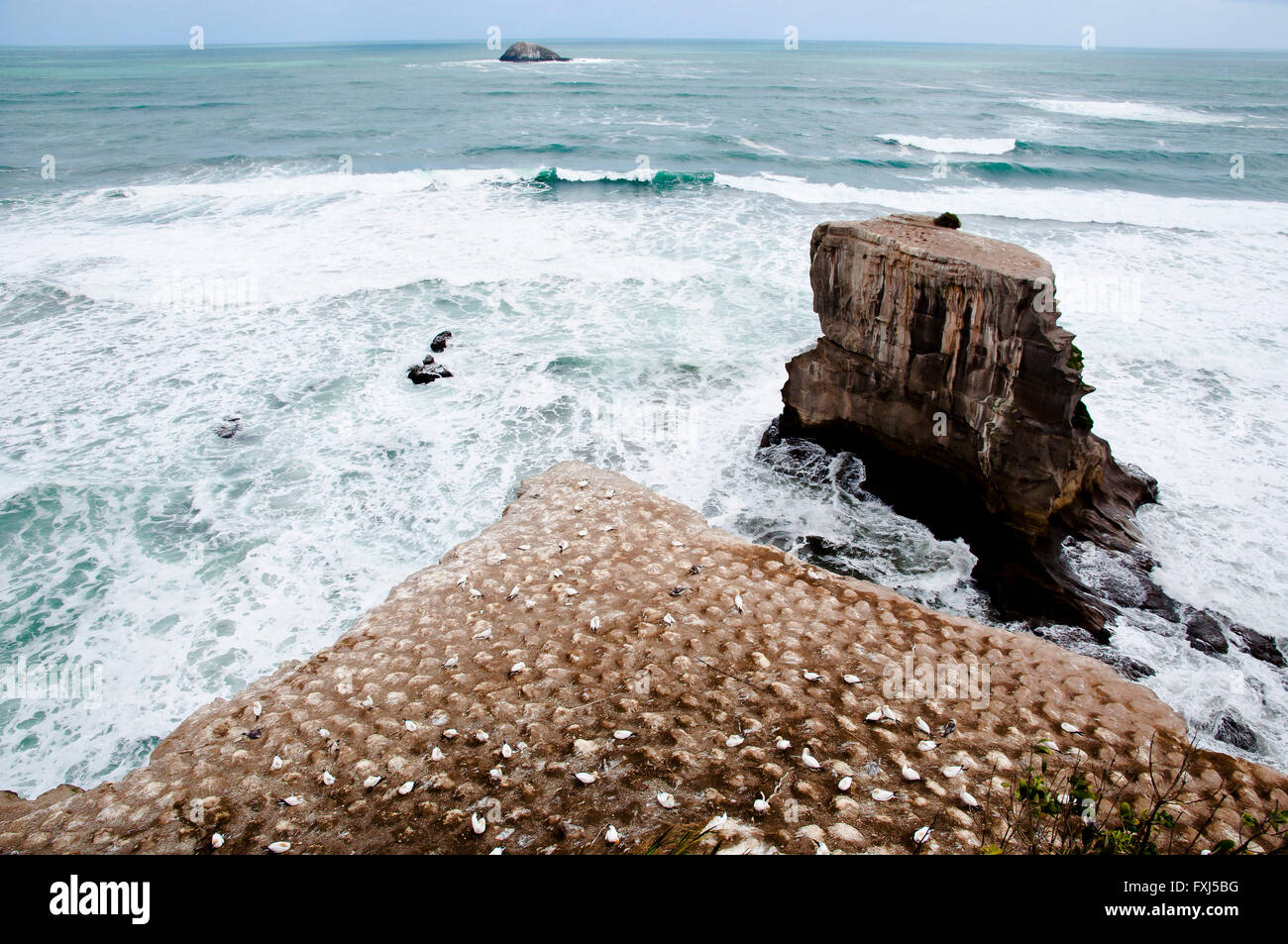 Muriwai Coast - New Zealand Stock Photo - Alamy