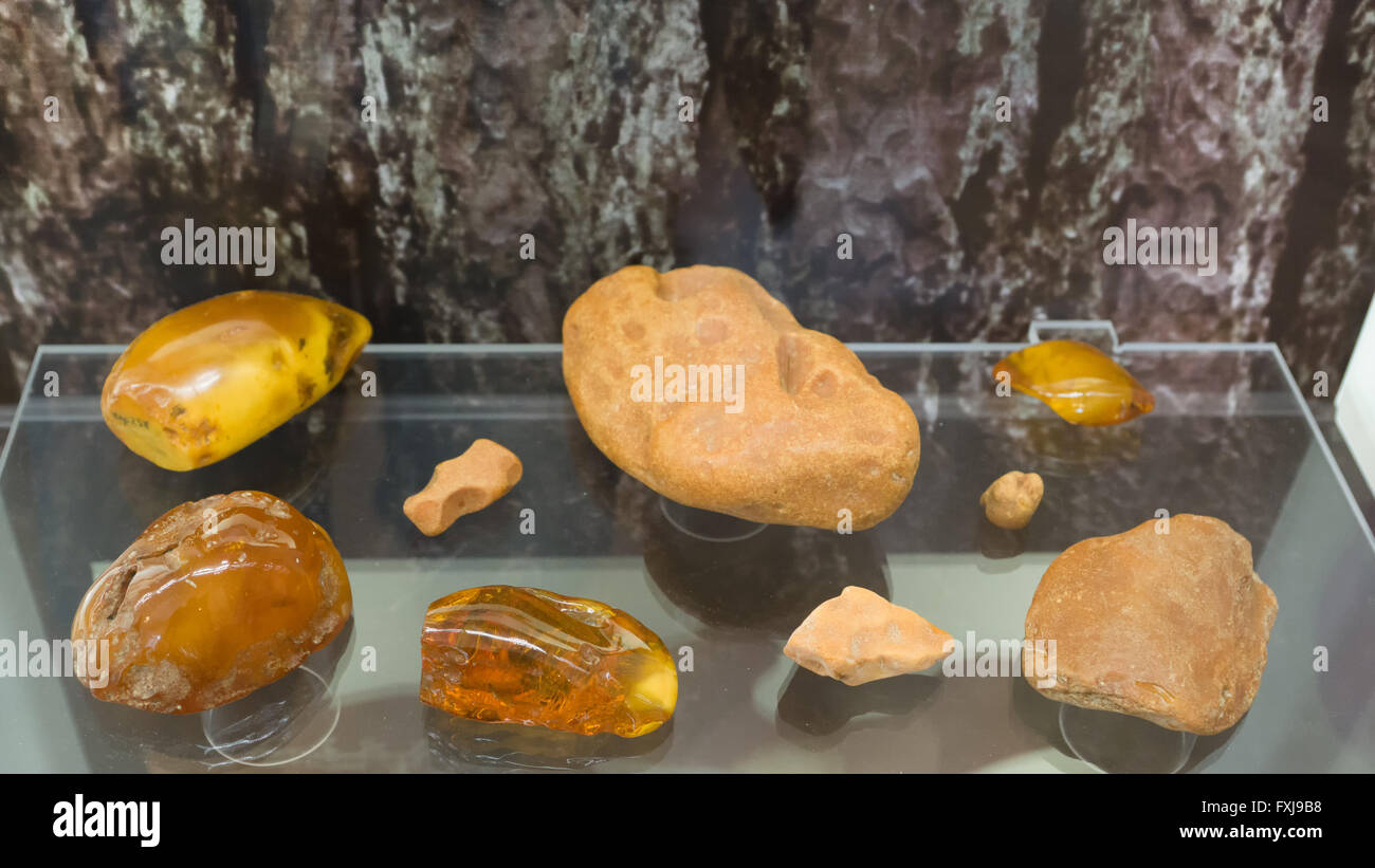 Palanga, Lithuania - August 1, 2015: the exhibits in the museum of ...