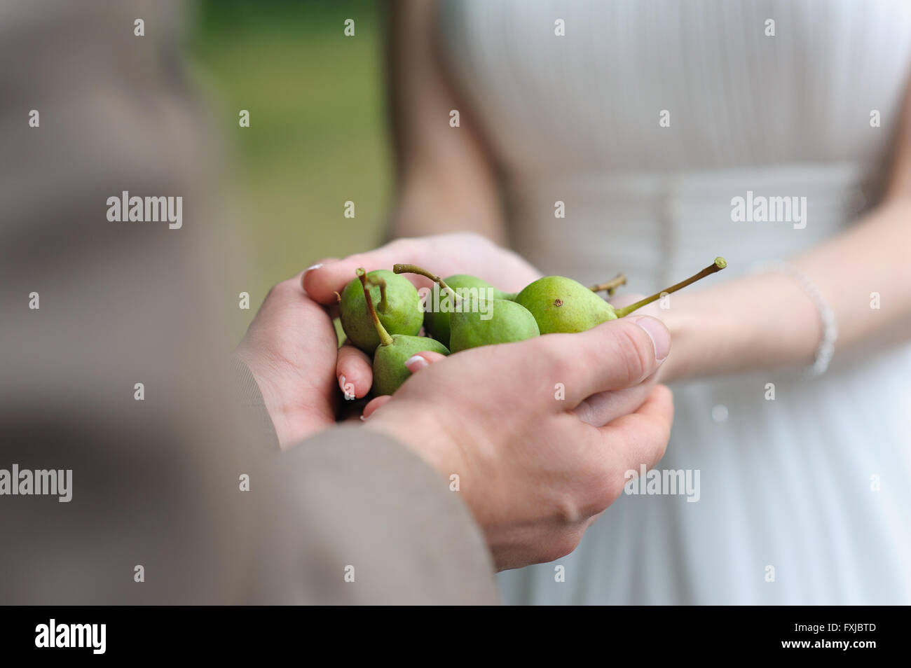 Full handful of pears Stock Photo - Alamy