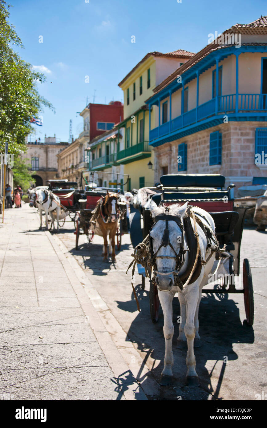 Vertical view of horsedrawn carriages waiting for customers in Havana ...