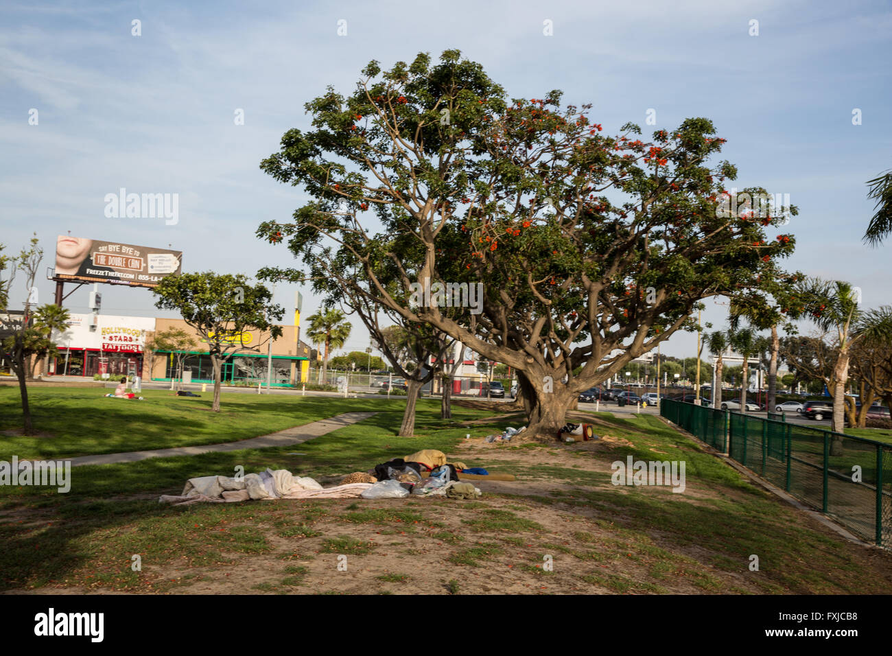 Lax landing hi-res stock photography and images - Alamy