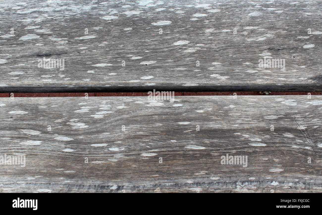 Rotted grey unpainted jarrah wooden board with eroded splinters and ...