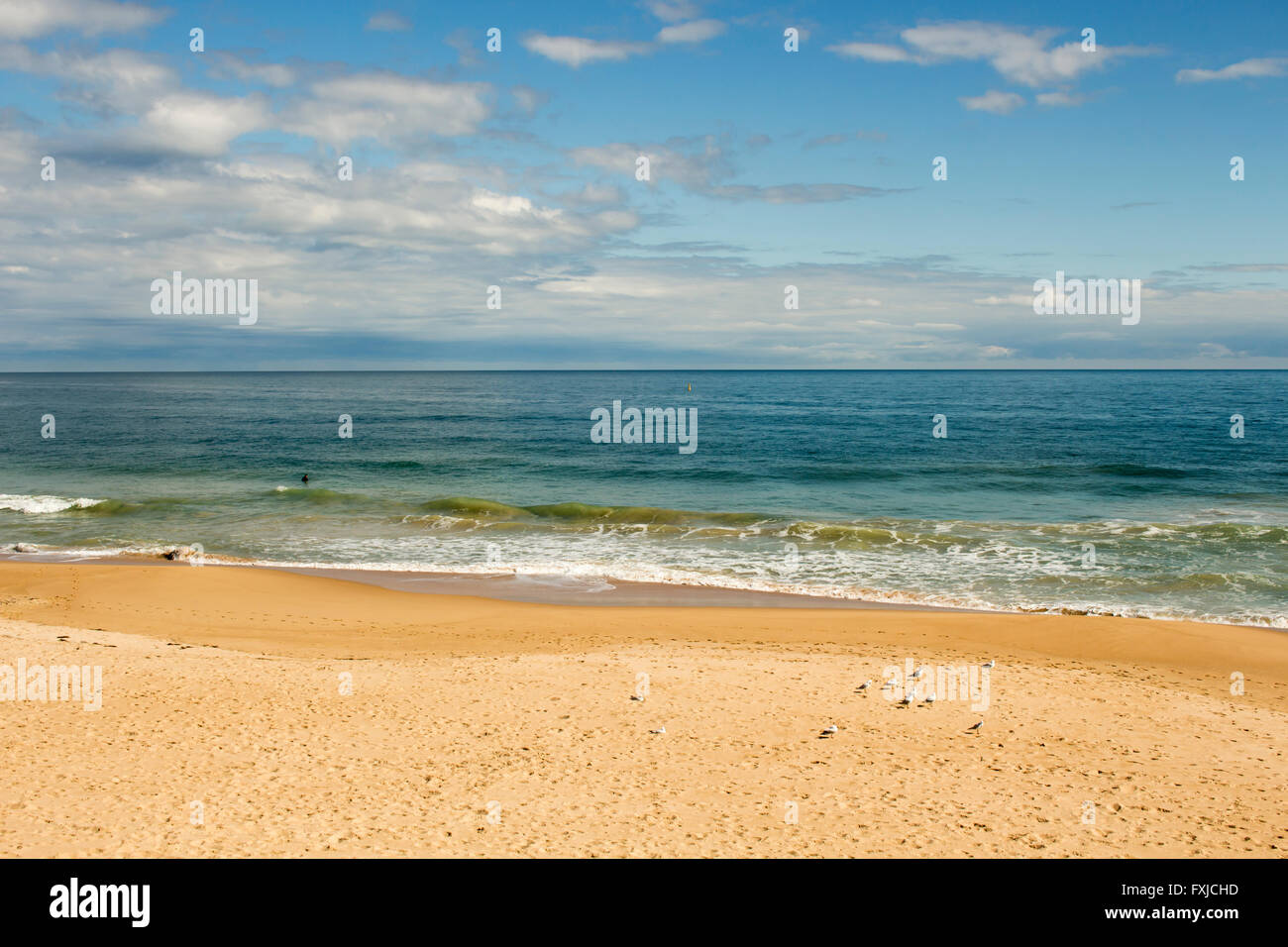 Waves from the Indian Ocean break on the sandy shore at ocean Beach ...