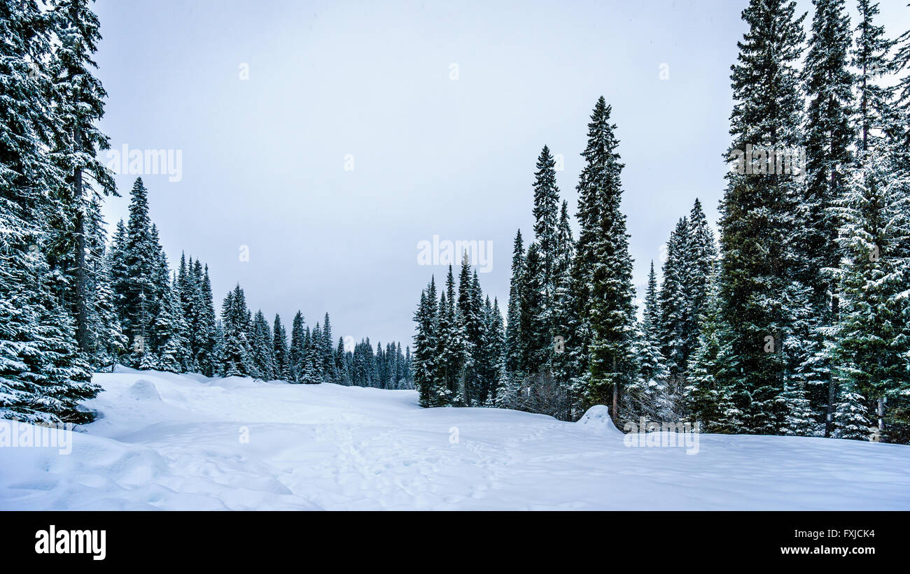 Snow pack hi-res stock photography and images - Alamy