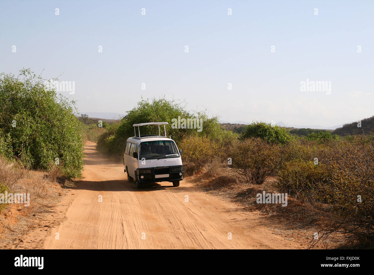 Driving during a safari tour Stock Photo - Alamy