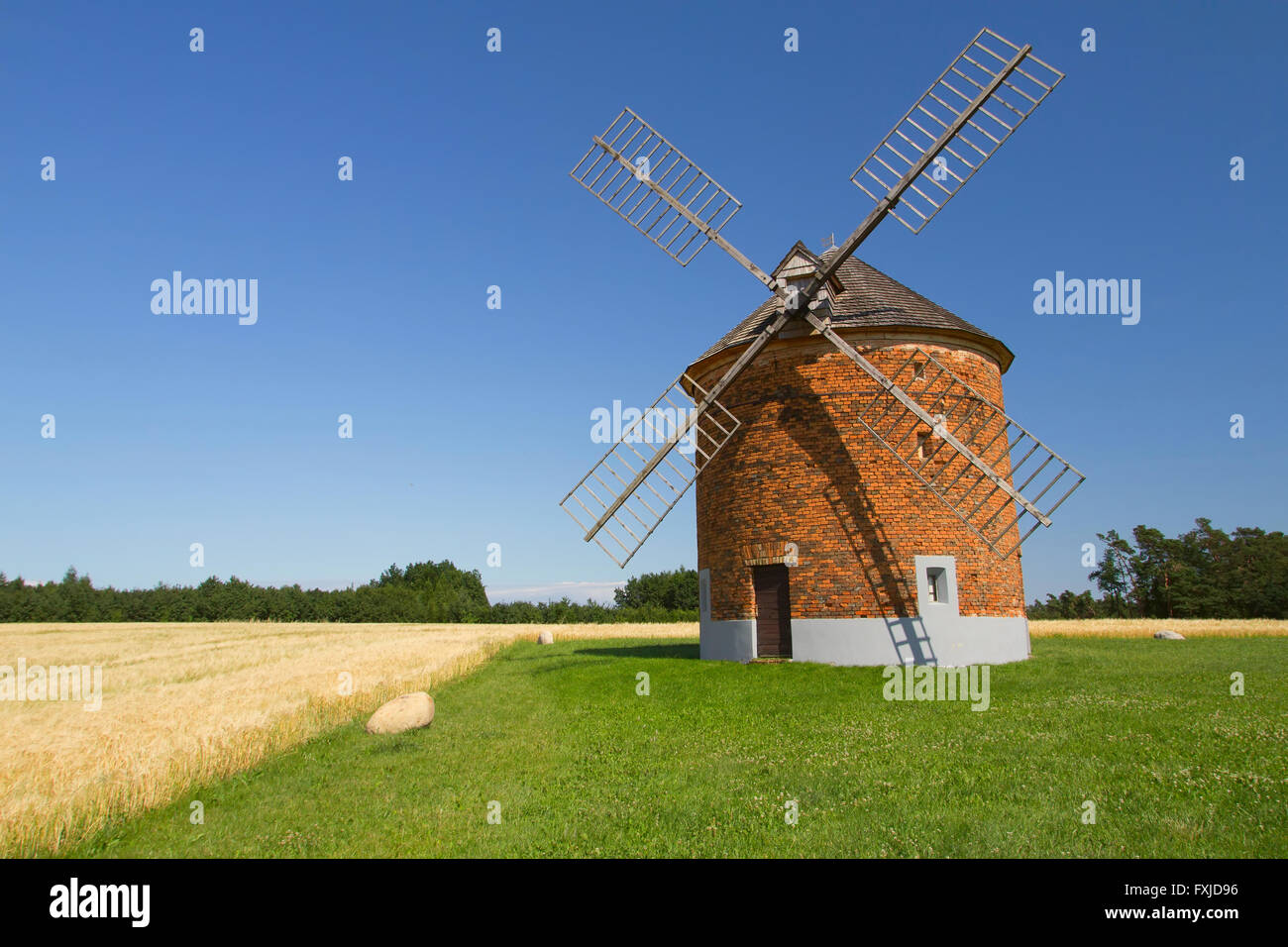 Brick windmill in a field of corn. Blue sky in the background ...