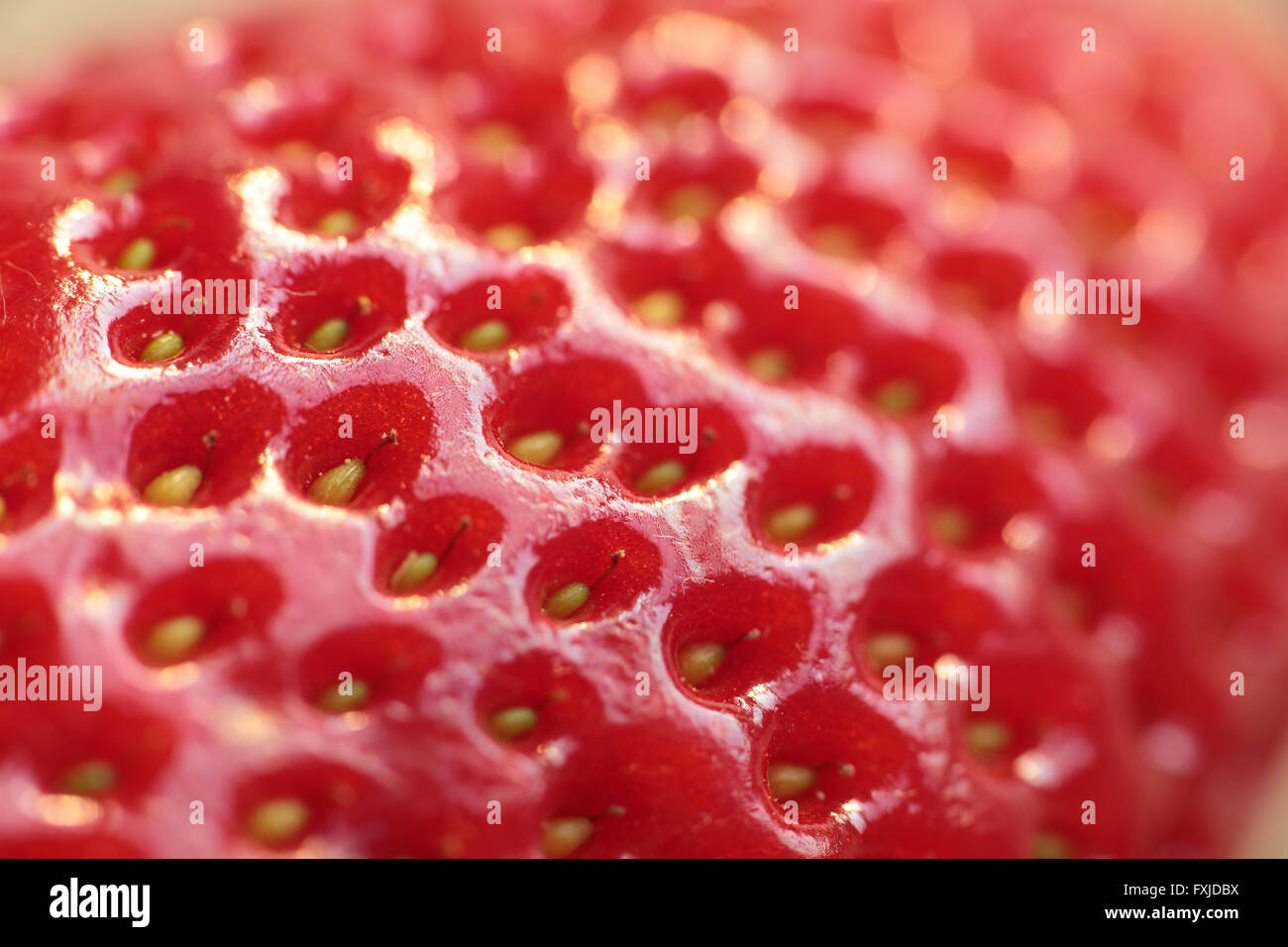 Macro Photography of a strawberry with light reflections Stock Photo ...