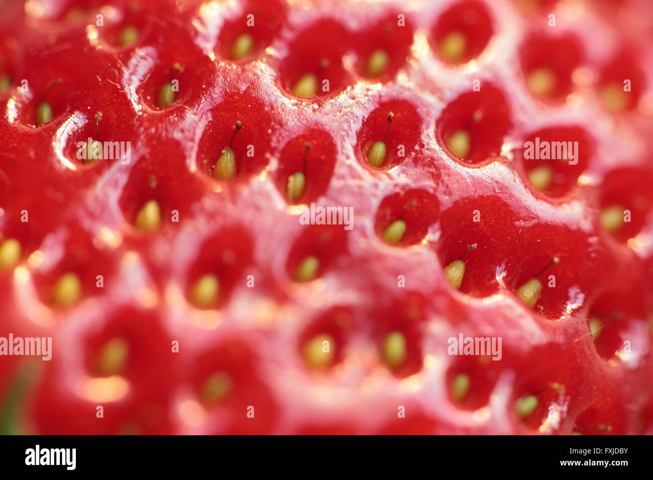 Fibonacci Sequence In Strawberries