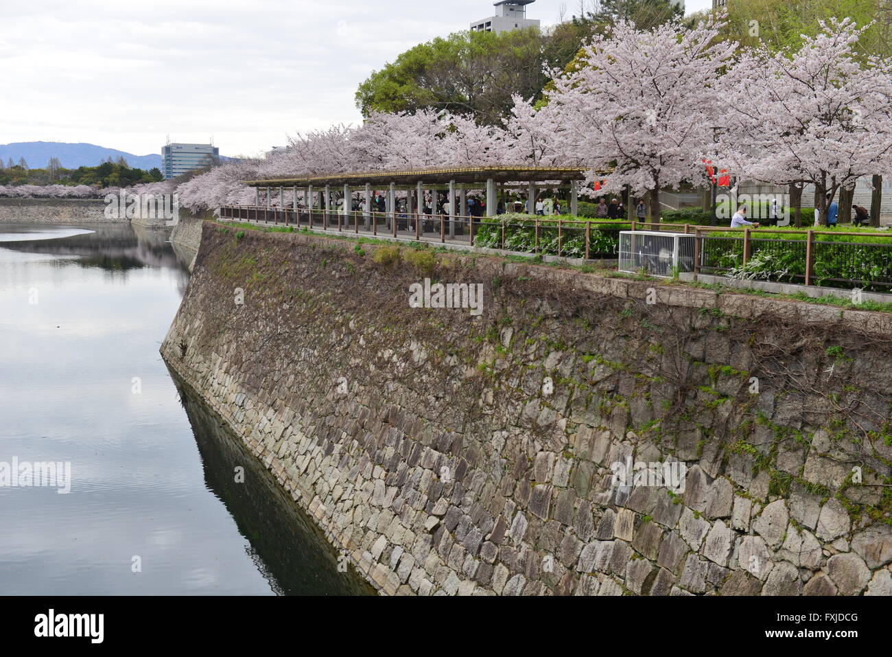 Moat at Osaka Castle, Osaka, Japan Stock Photo - Alamy