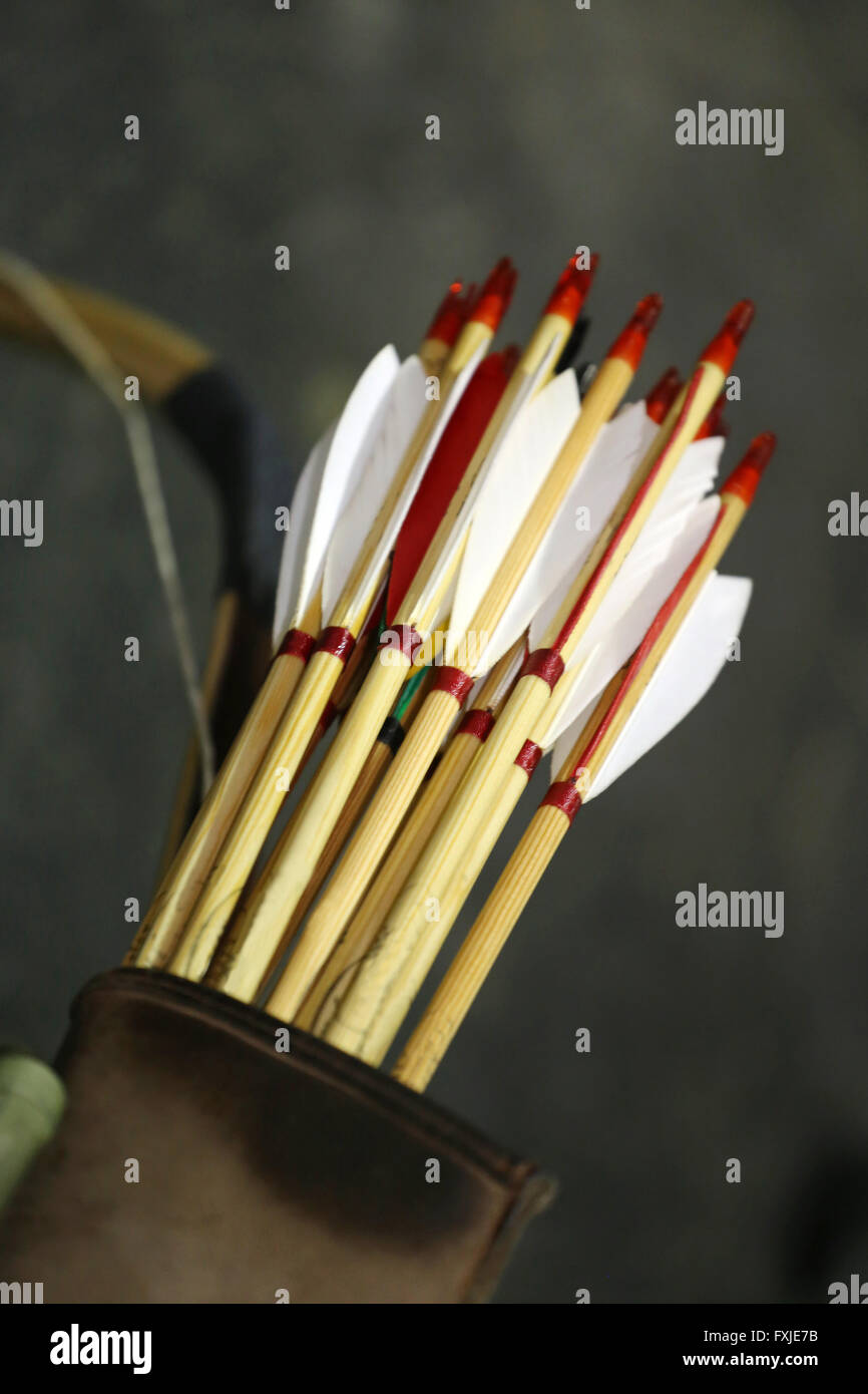 Hunger Games Arrow Quiver