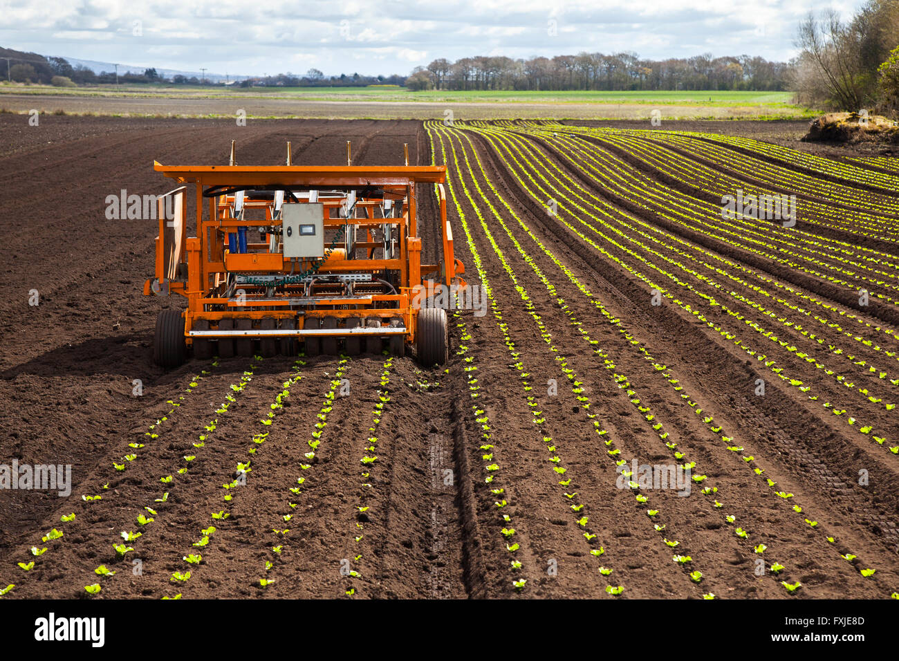 Multi row seeder hi-res stock photography and images - Alamy