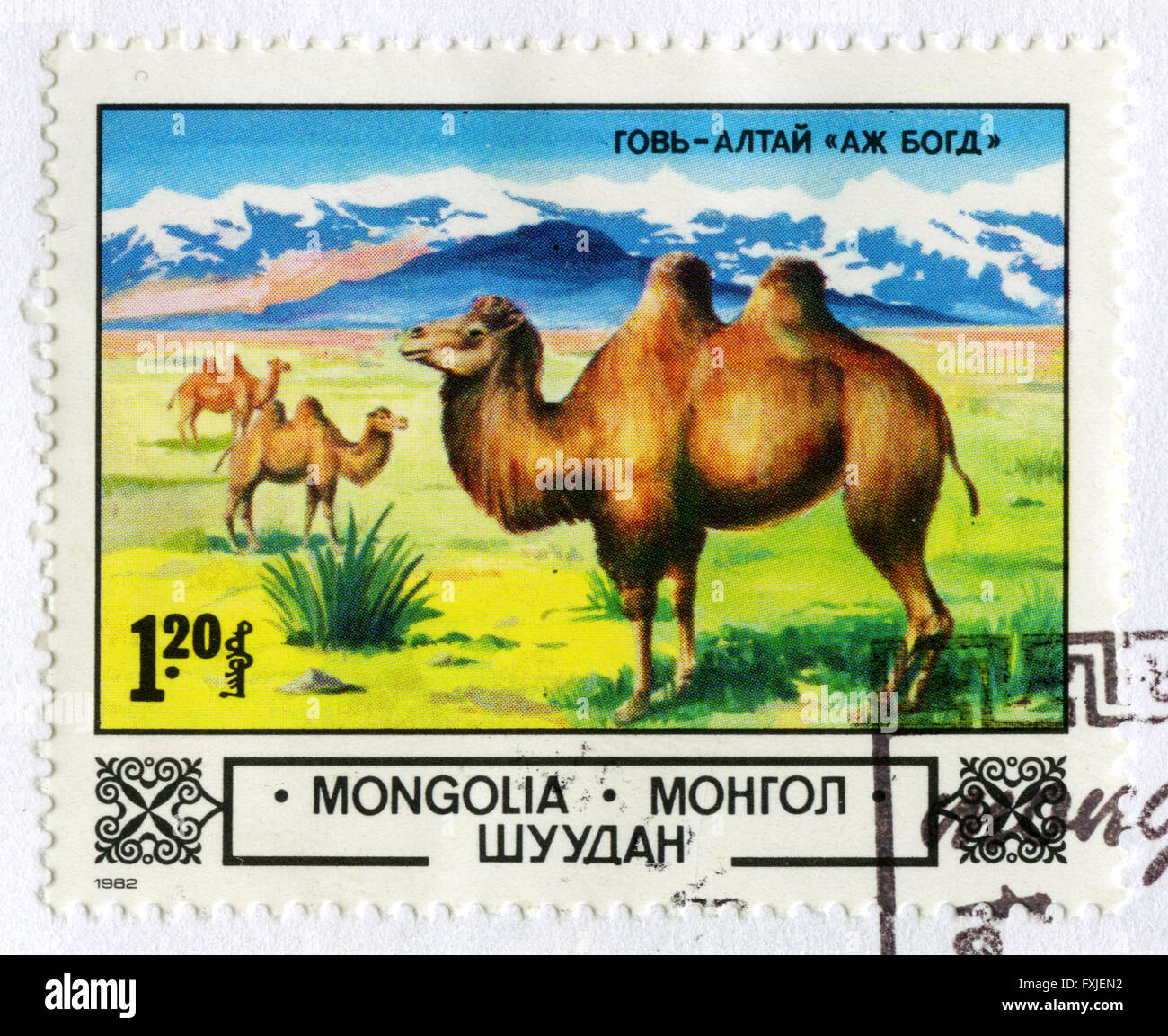 Mongolia Camel Stamp High Resolution Stock Photography and Images - Alamy