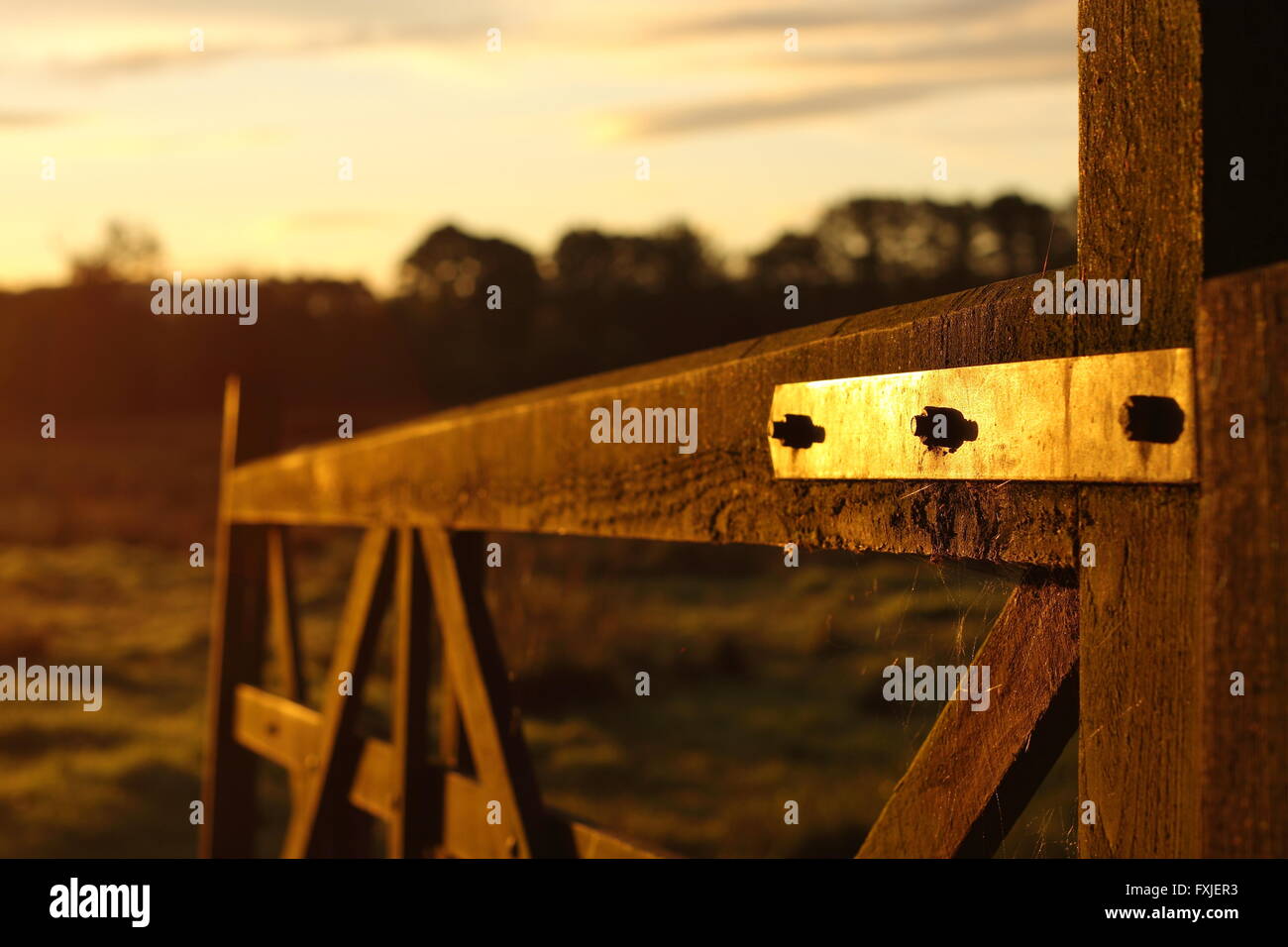 Gate at sunrise Stock Photo - Alamy
