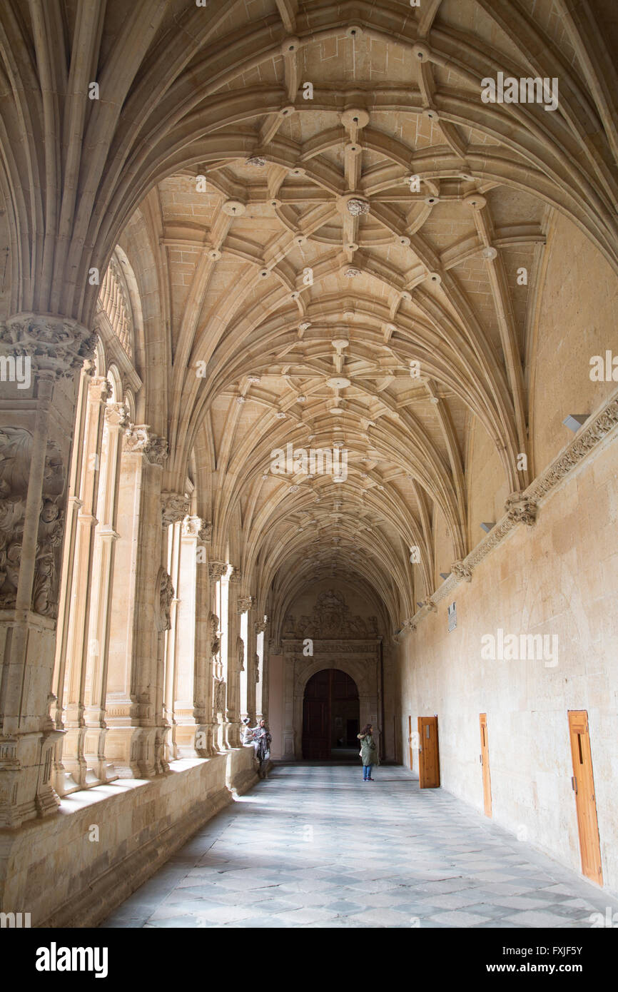Cloister of San Esteban Convent, Salamanca, Spain Stock Photo - Alamy