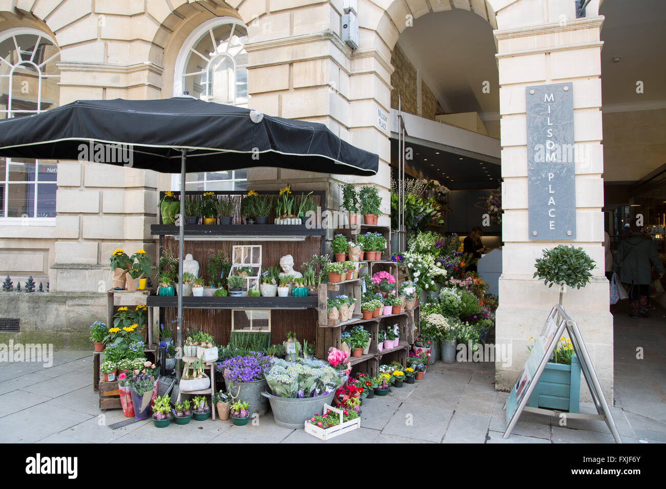 Milsom Place Florist; Bath; England; UK Stock Photo - Alamy