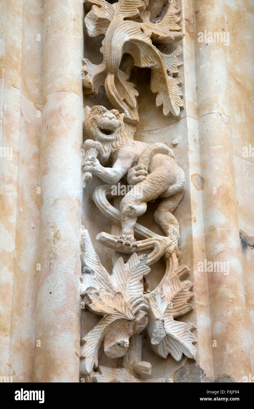 Monkey on Cathedral Church Facade, Salamanca, Europe Stock Photo - Alamy