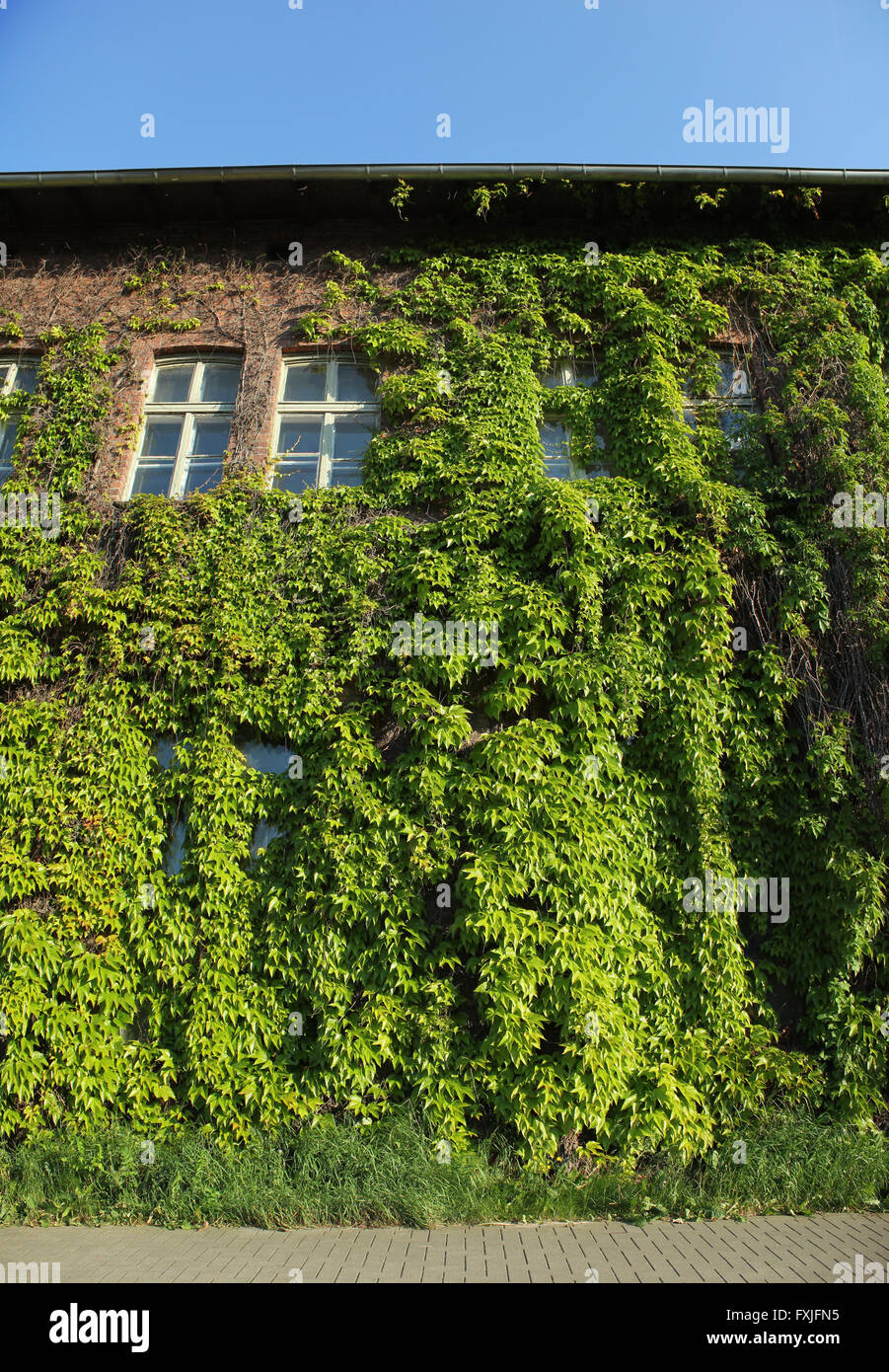Ivy covering house hi-res stock photography and images - Alamy