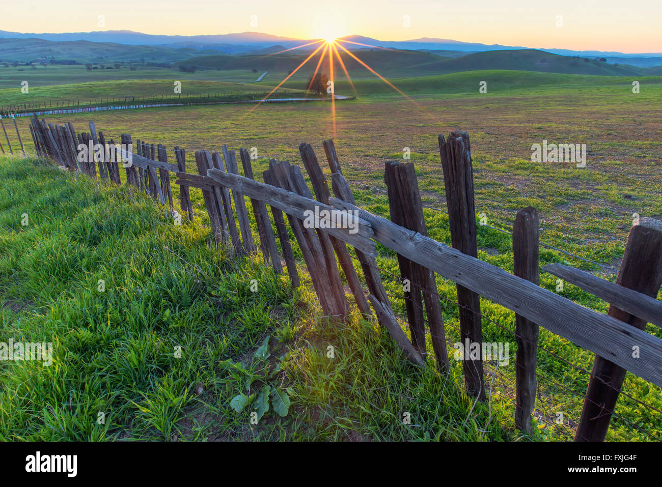Oak fenceline hi-res stock photography and images - Alamy