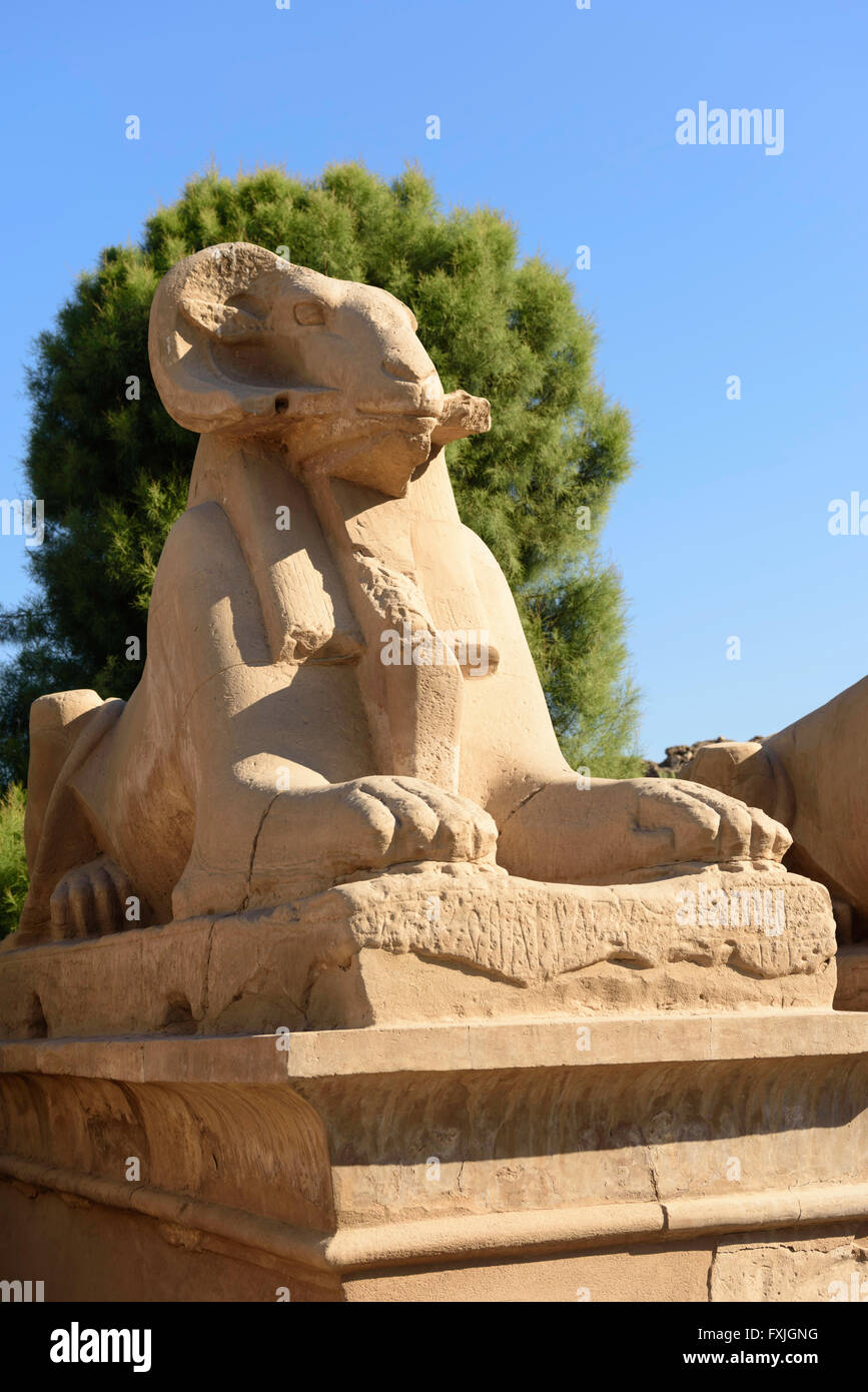 Ram Headed Sphinx High Resolution Stock Photography and Images - Alamy