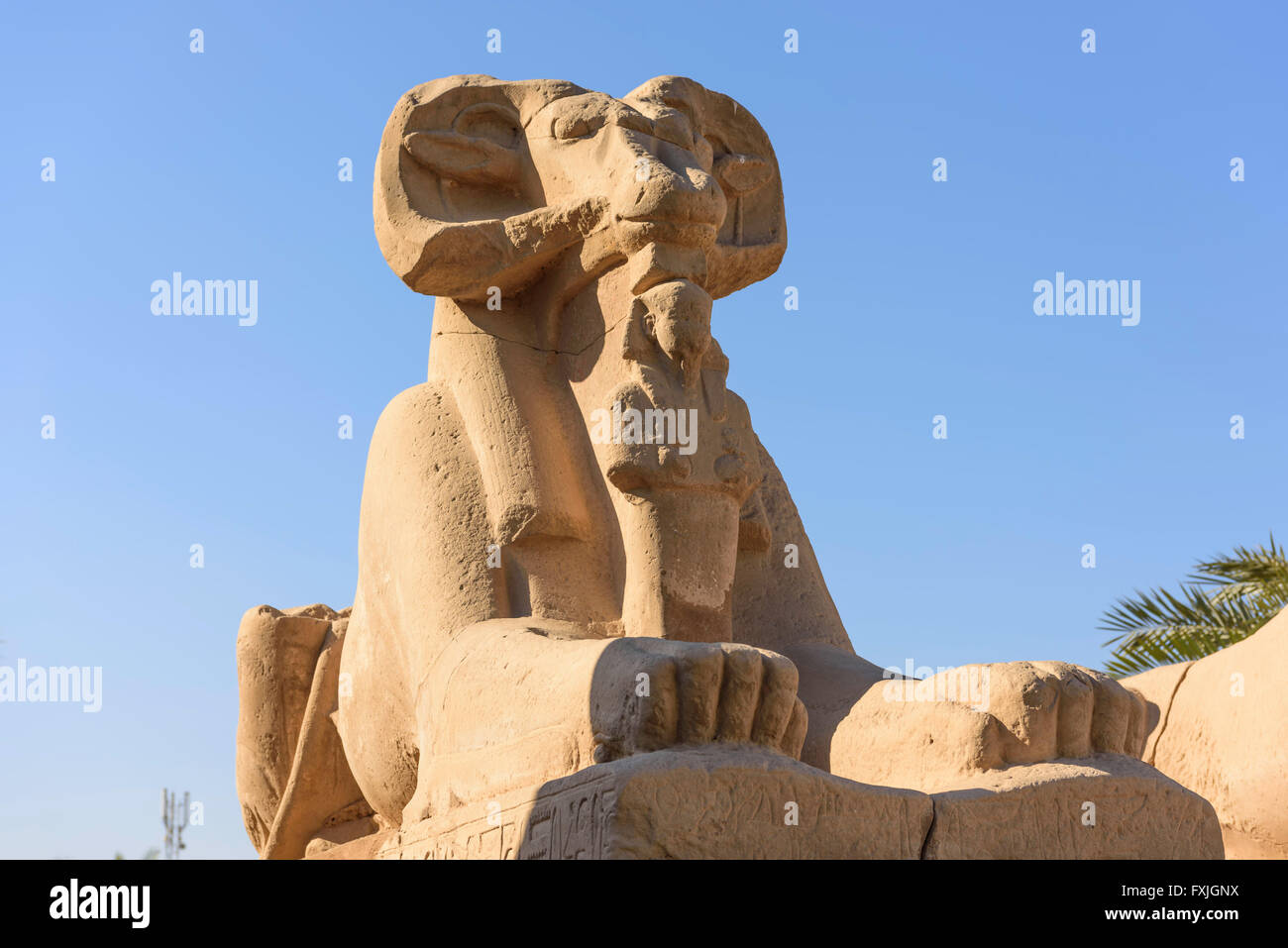 Ram Sphinx Stock Photos & Ram Sphinx Stock Images - Alamy