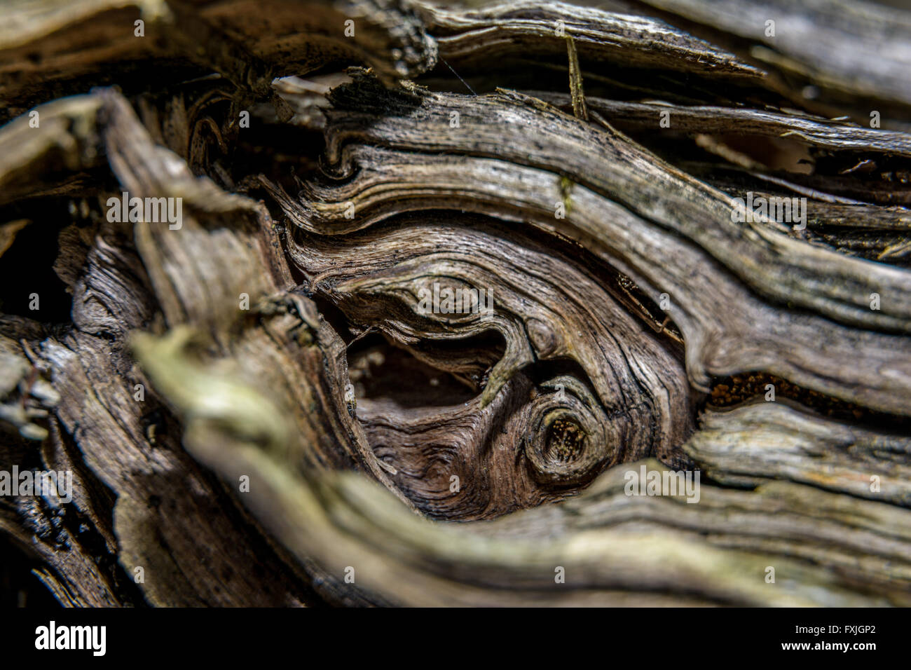 Really brown wood texture or background photo Stock Photo - Alamy