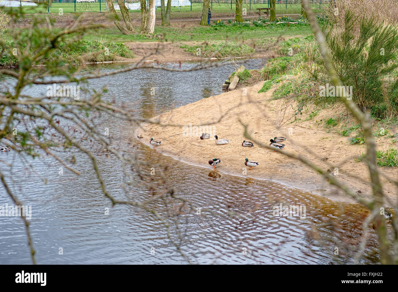 River Wyre High Resolution Stock Photography and Images - Alamy