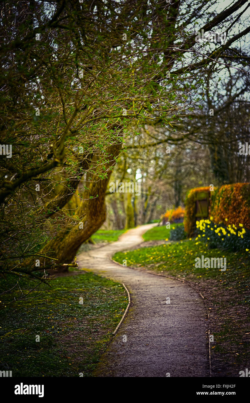 Winding woodland path hi-res stock photography and images - Alamy