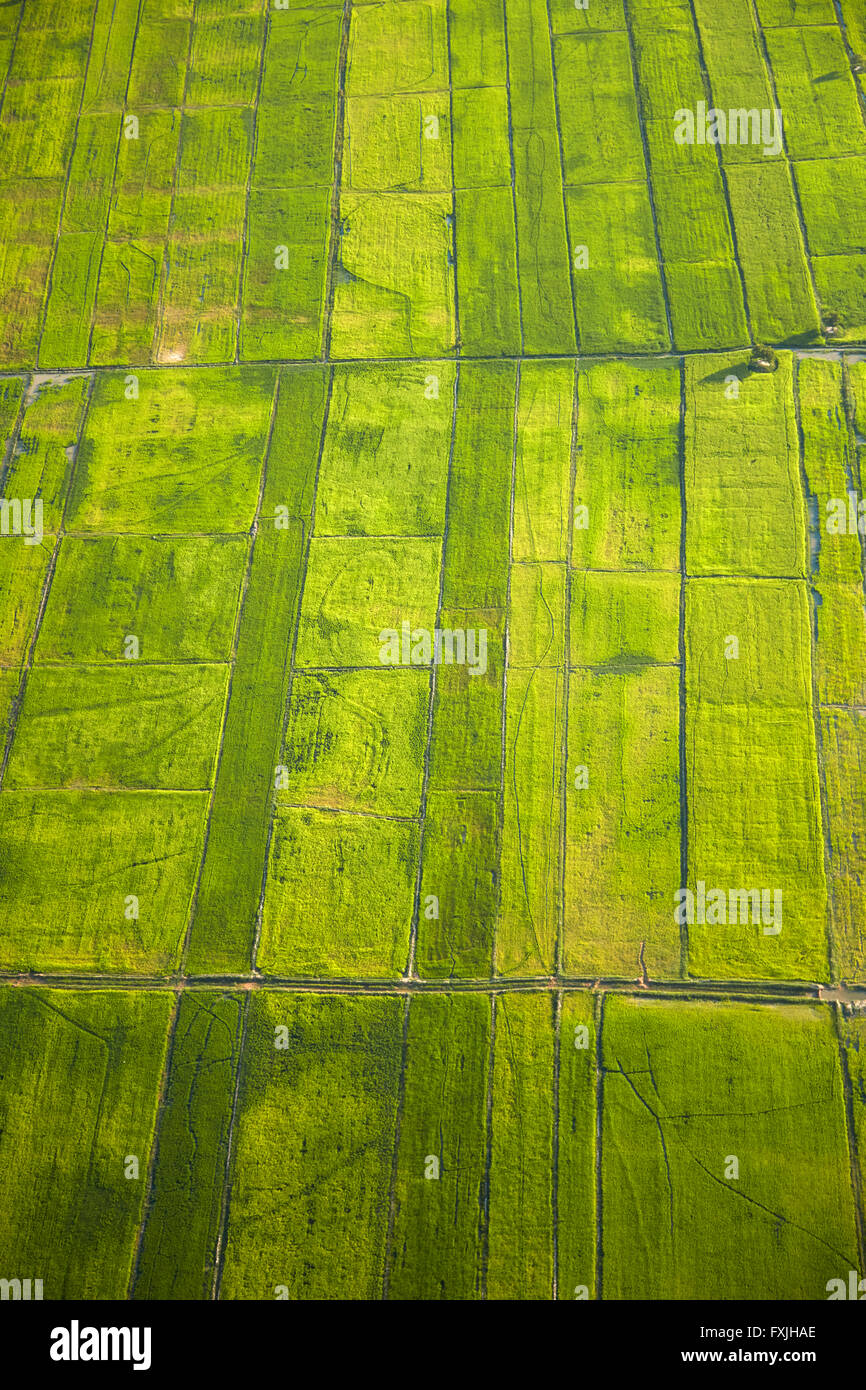 Aerial rice fields hi-res stock photography and images - Alamy