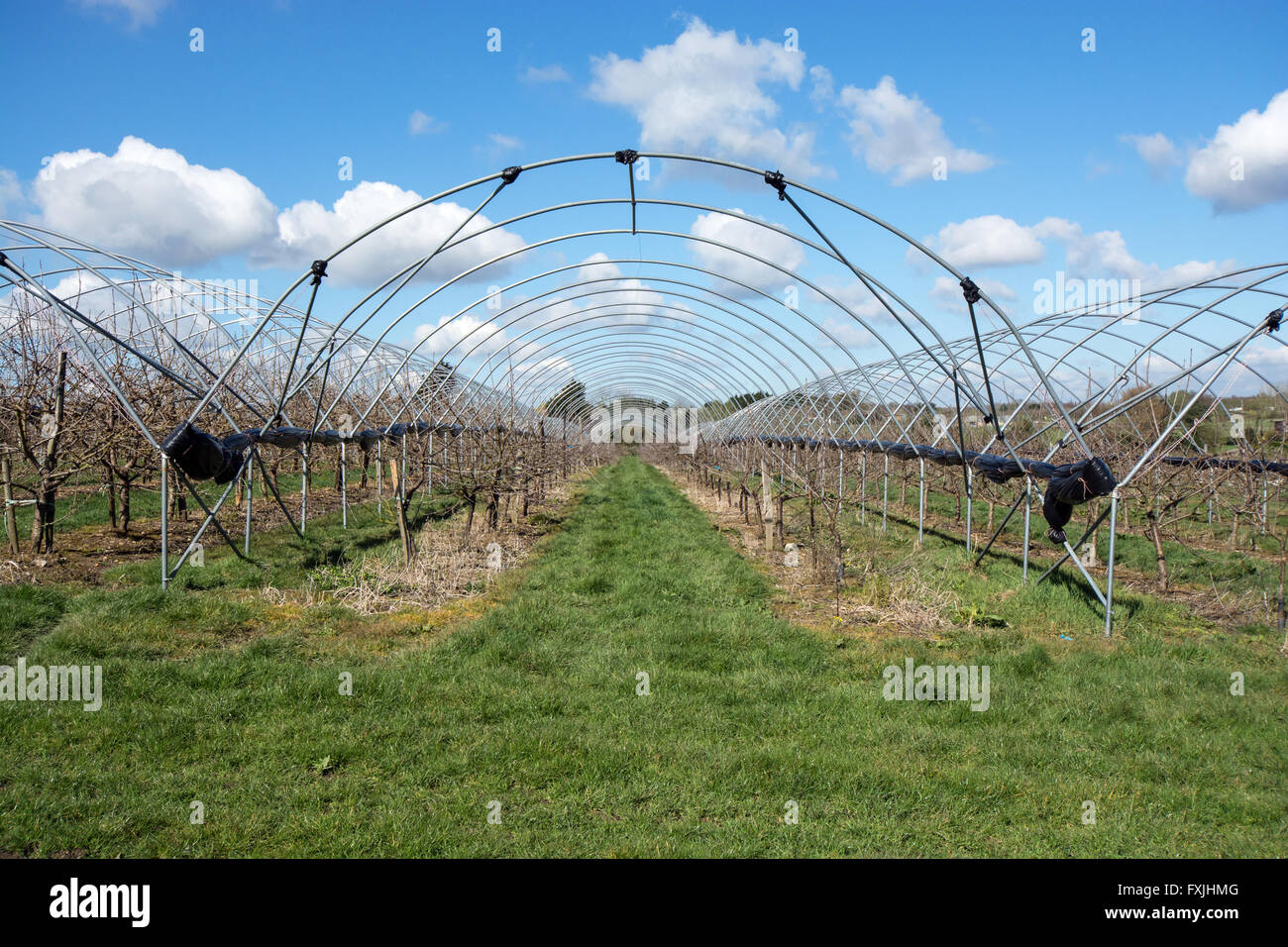 Row cages hi-res stock photography and images - Alamy