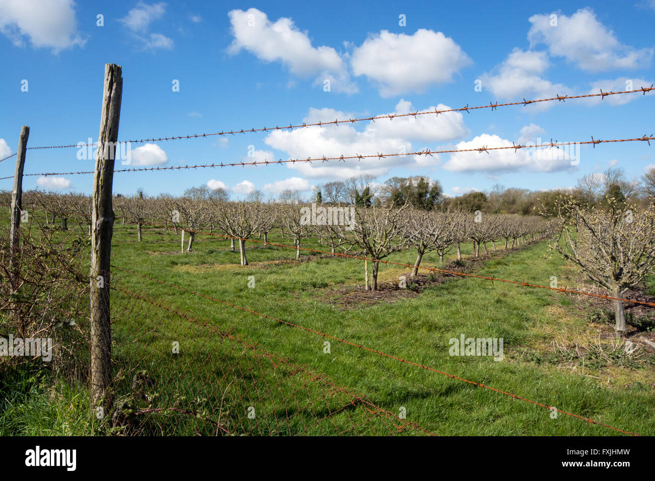 Barbed wire fence post around hi-res stock photography and images - Alamy