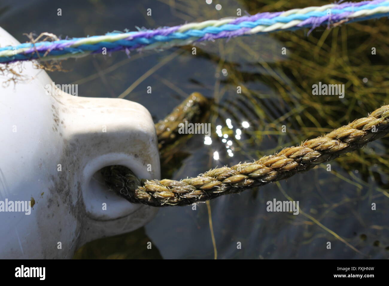 Harbor buoy hi-res stock photography and images - Alamy