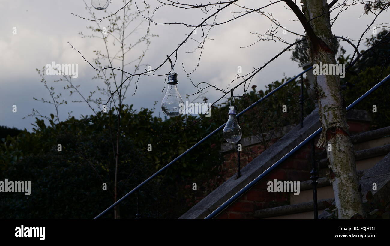 Light bulbs hanging from a tree Stock Photo - Alamy