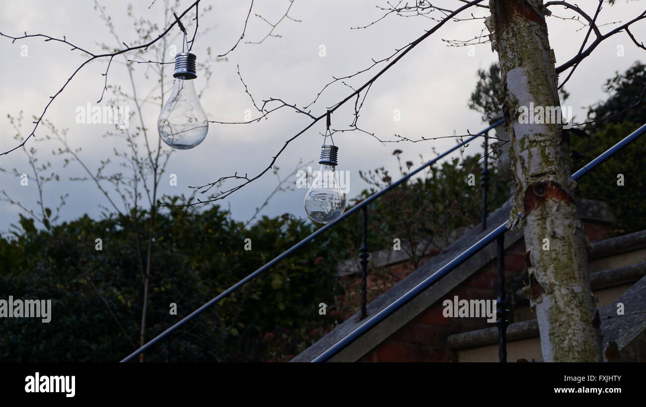 Light bulbs hanging from a tree Stock Photo - Alamy