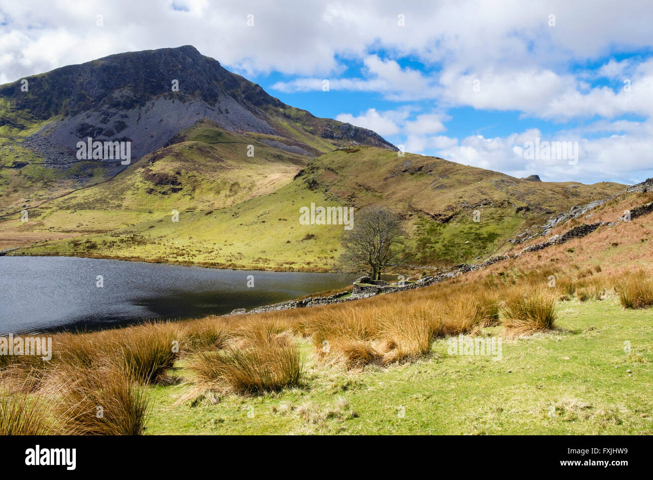 Looking across Llyn y Dywarchen to Y Garn mountain at end of Nantlle ...