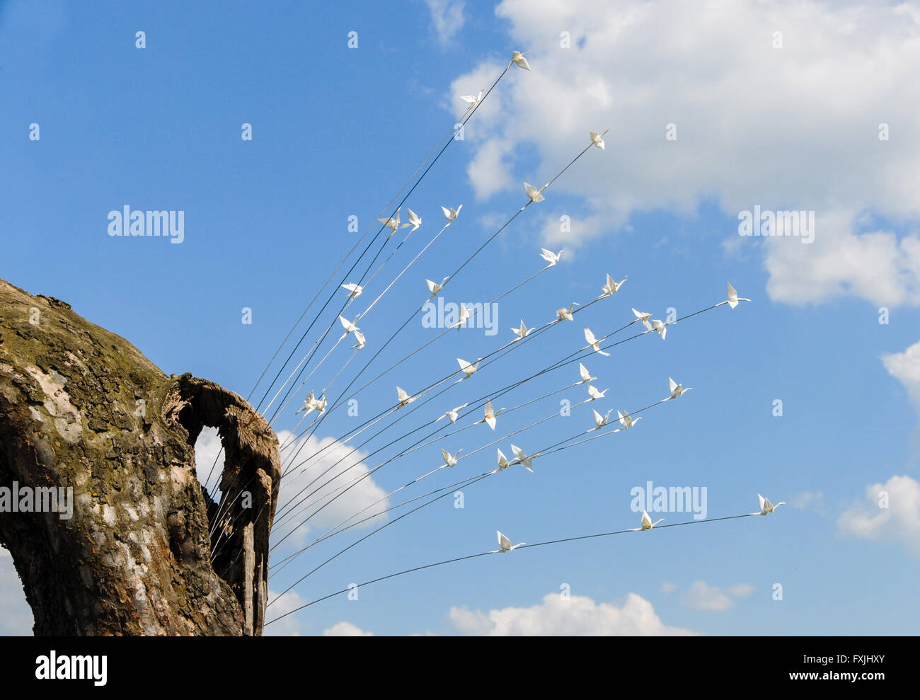 Migratory birds made of paper fly on wire in a blue sky Stock Photo - Alamy
