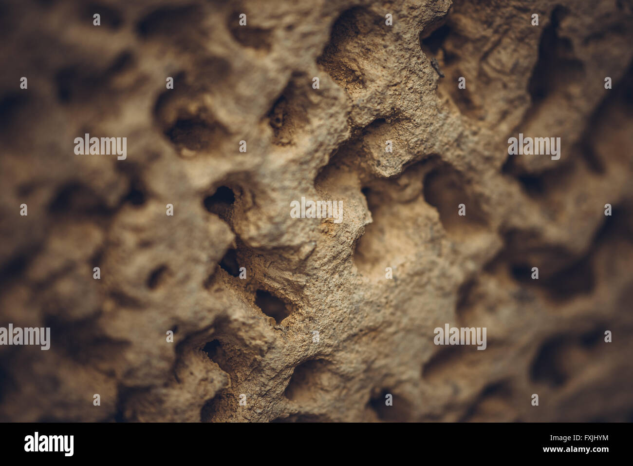 limestone close-up Stock Photo - Alamy
