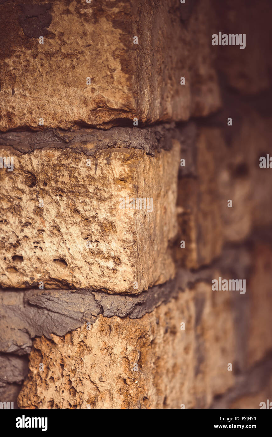 Shell limestone stones hi-res stock photography and images - Alamy